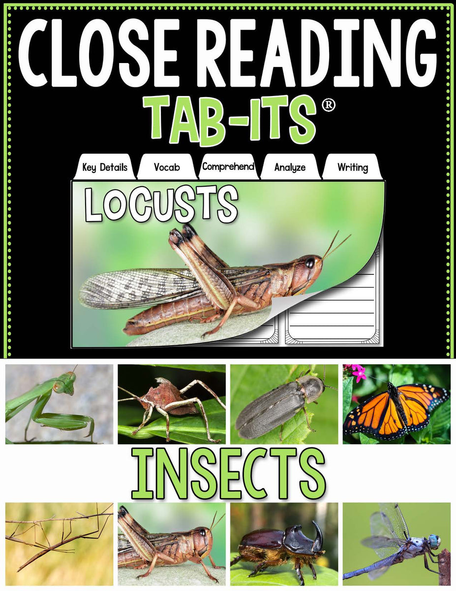 Close Reading - Insects Tab-Its® | Distance Learning – Simply Skilled ...