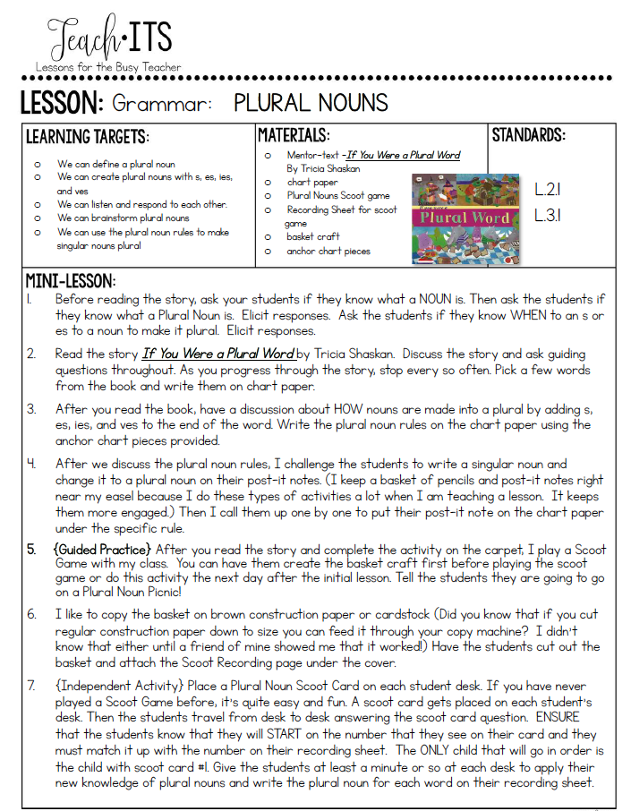 Plural Nouns Lesson Plan – Simply Skilled Teaching