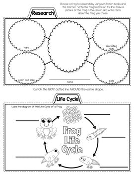 Science Interactive Notebook Animals Tab-Its® Volume 2 | Distance Lear ...