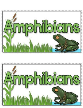 Amphibians Tab-Its® | Distance Learning – Simply Skilled Teaching