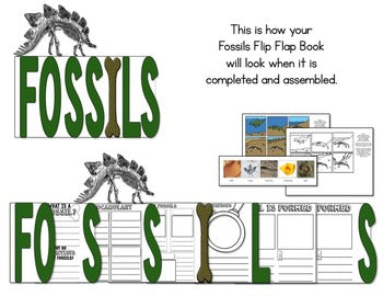 Fossils Flip Flap Book® | Distance Learning – Simply Skilled Teaching