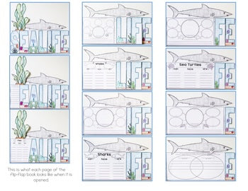 Sealife Flip Flap Book® | Distance Learning – Simply Skilled Teaching