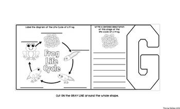 Science Flip Flap Books® Expository Writing Resources (Bundle) | Dista ...