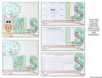 Owls Flip Flap Book® | Distance Learning – Simply Skilled Teaching