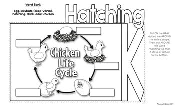 Hatching Chicks Flip Flap Book® | Distance Learning – Simply Skilled ...