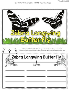 Florida Animals Tab-Its® | Distance Learning – Simply Skilled Teaching