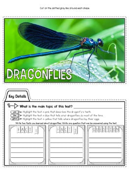 Close Reading - Insects Tab-Its® | Distance Learning – Simply Skilled ...